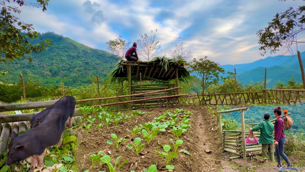 Open more pig farm (Asian bushcraft girl) - YouTube