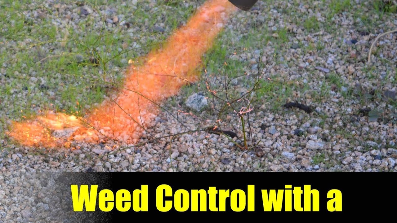 BIG TIME WEED BURN!! ASMR - YouTube