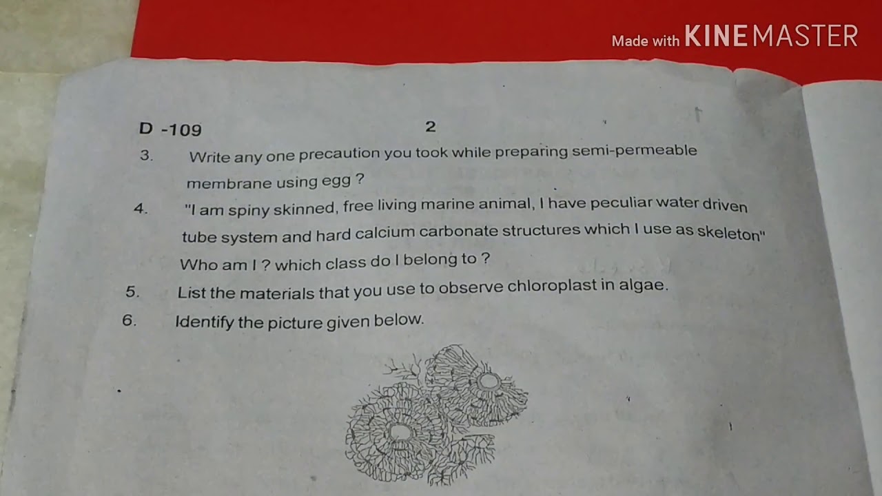 9th Class Biology Question Paper SA1 2019 YouTube 9th-class-biology-question-paper-sa1-2019-youtube