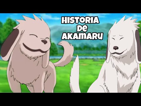 Naruto: La Historia de Akamaru | Boruto: La vida de Akamaru - YouTube