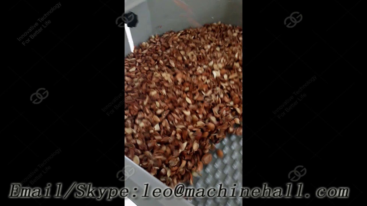 Hazelnut Shell And Kernel Separating Machine - YouTube