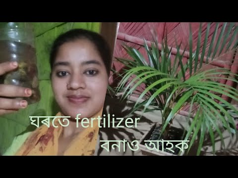 সহজতে ঘৰত বনাব পৰা ফুলৰ বাবে এটা fertilizer # Beauty sultana #