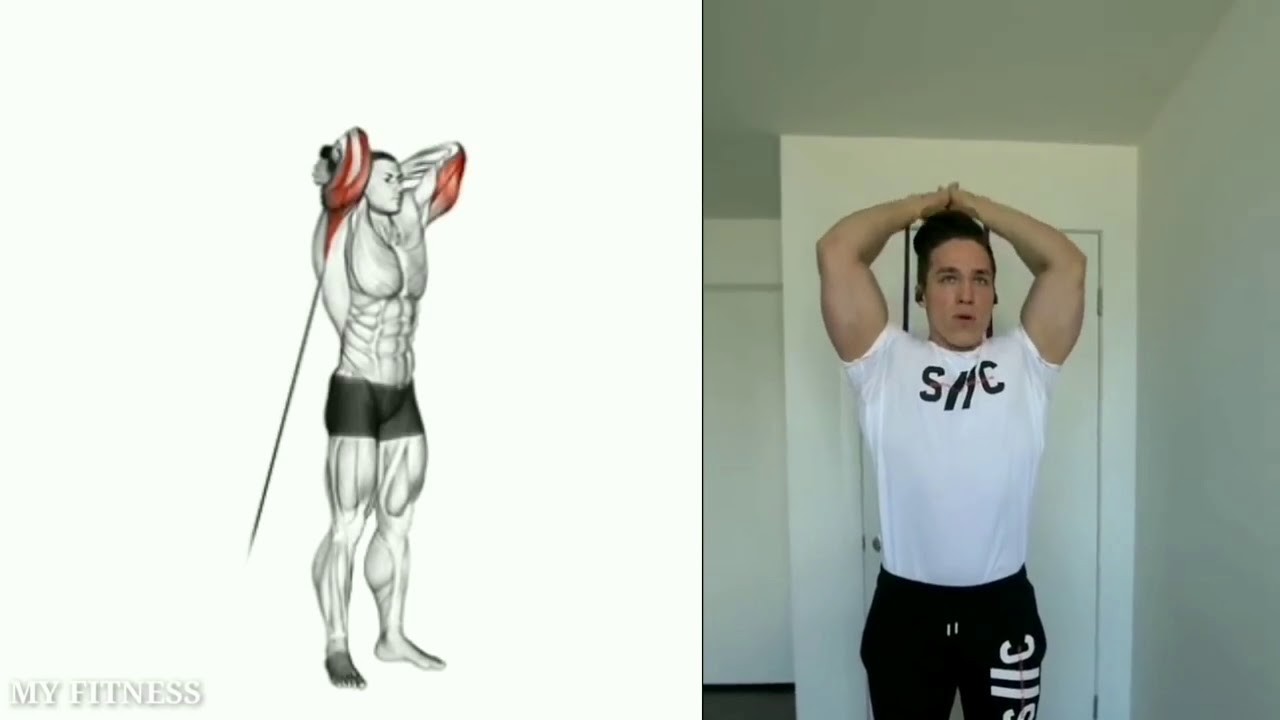 Triceps home workout without equipment - YouTube