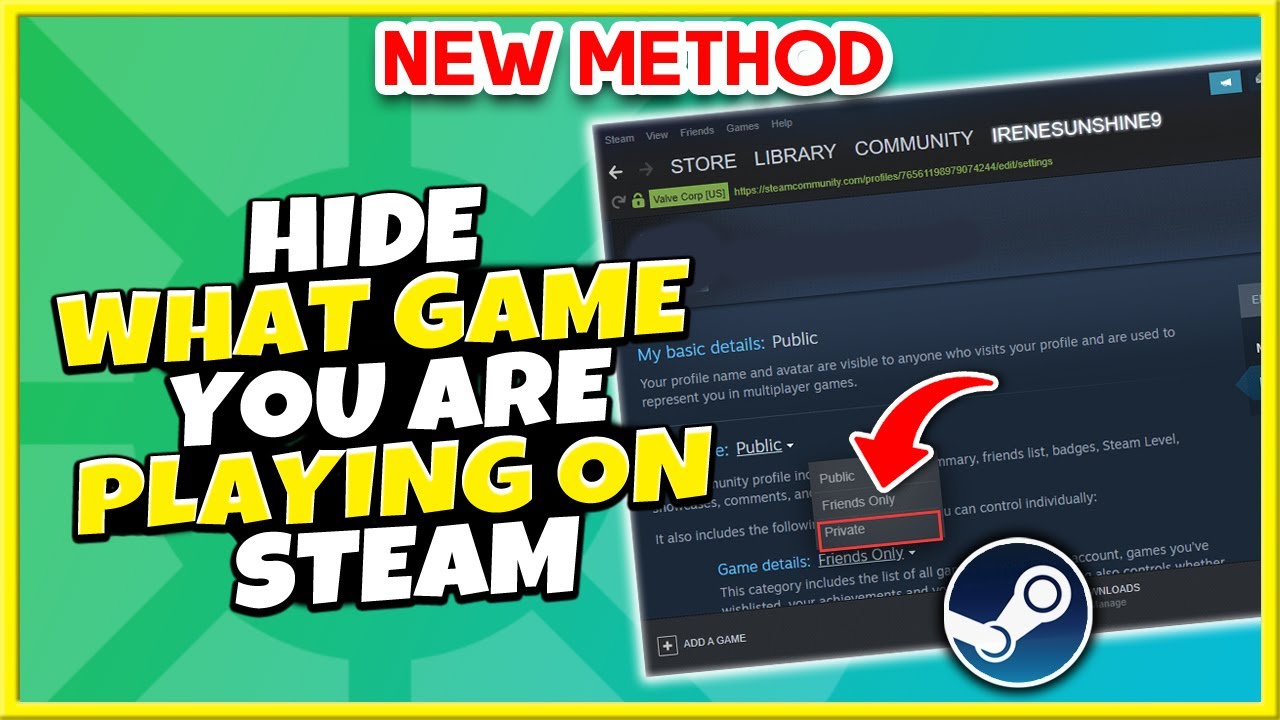How To Hide What Game You Are Playing On Steam | Topical Talks - YouTube