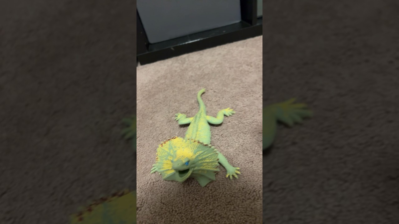 Guide for being Lizzard inspired by @TierZoo go to his channel pls ...