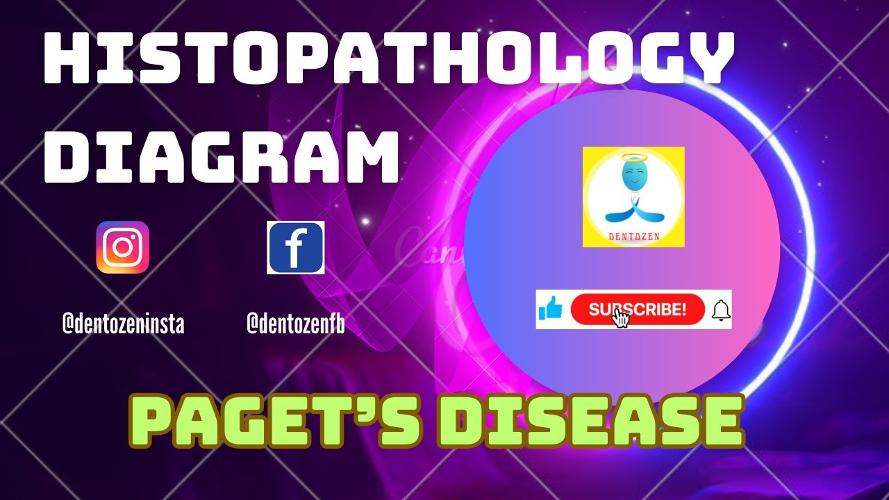Diagrams Histology And Histophathology Histopathology Lab Equipments