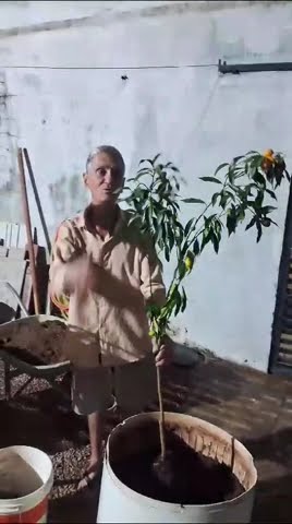 27 de junho de 2024 - YouTube