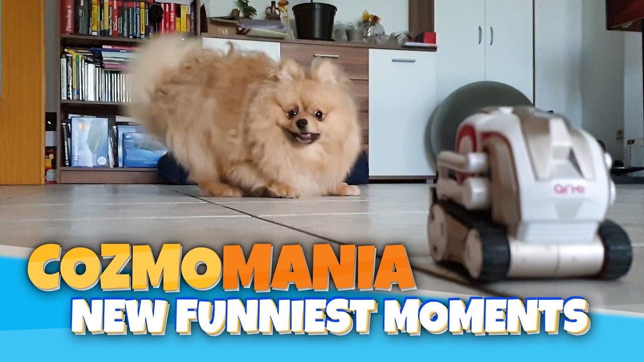 Anki Cozmo | Cozmomania Part 1 | New funny moments | Приколы с Козмо ...
