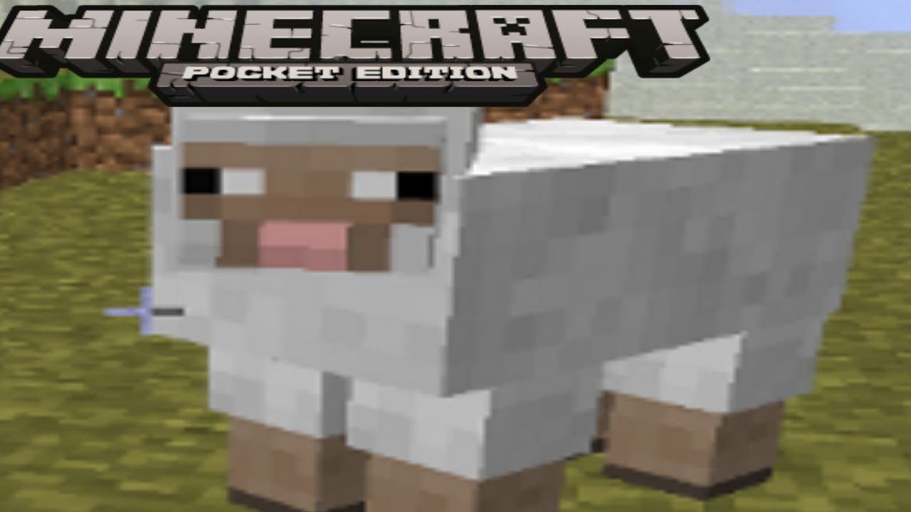 Minecraft: minha criação de ovelhas - YouTube