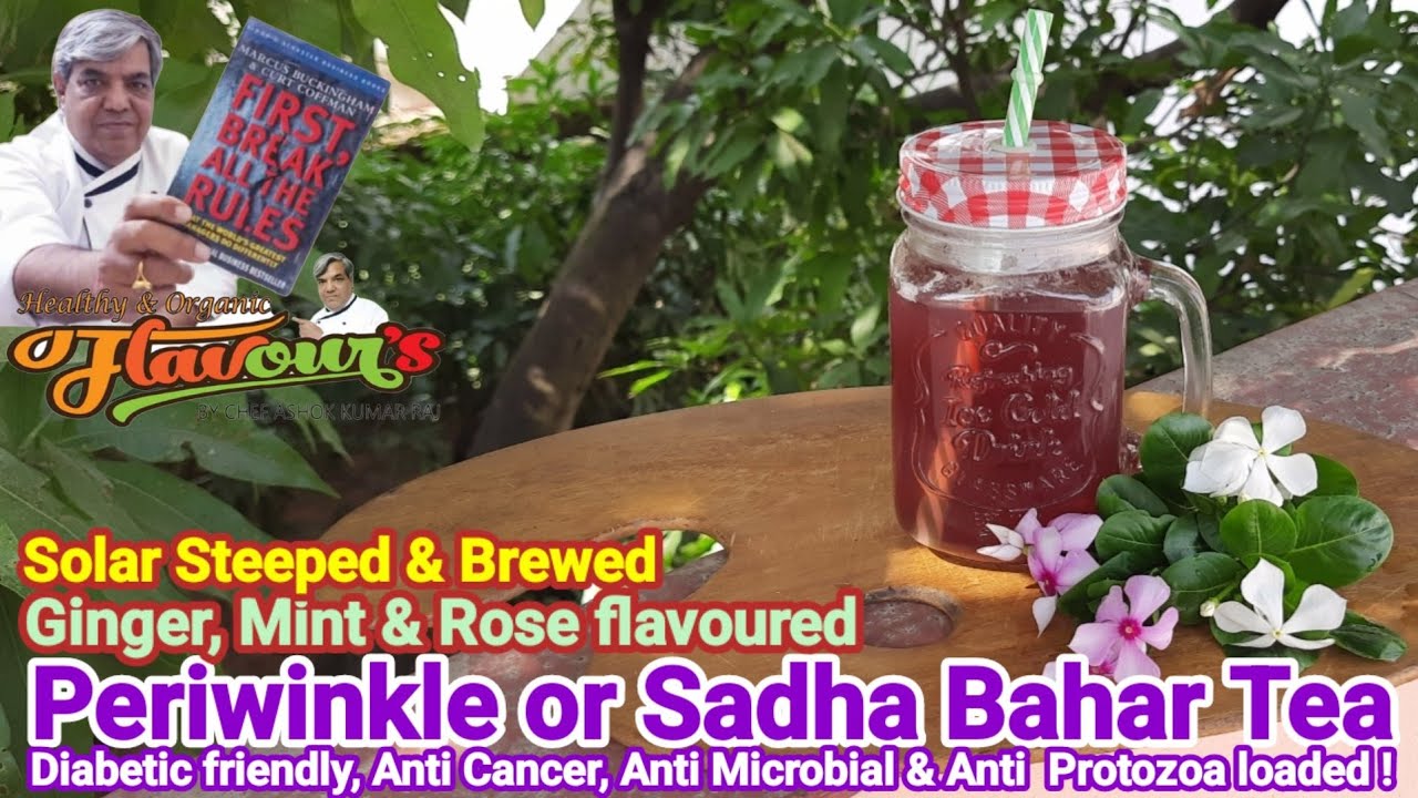 Solar Steeped & Brewed, Ginger, Mint, Rose & Periwinkle or Sadha Bahar ...