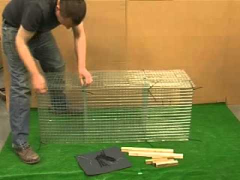 larsen trap central decoy - YouTube