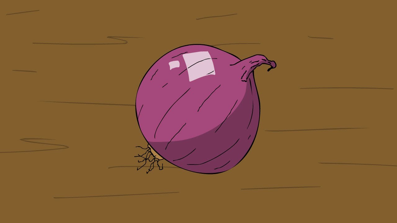 The Onion Horror Animated | True Horror Story - YouTube