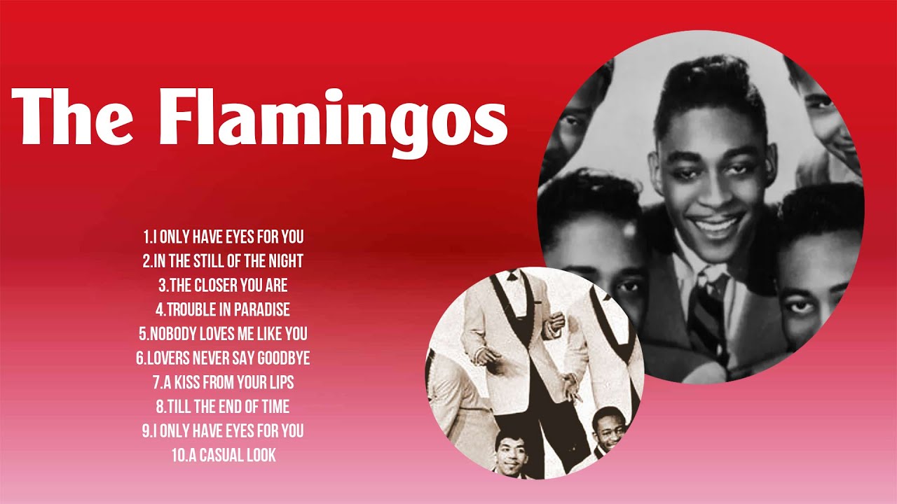 The Flamingos Playlist Of All Songs ~ The Flamingos Greatest Hits Full ...