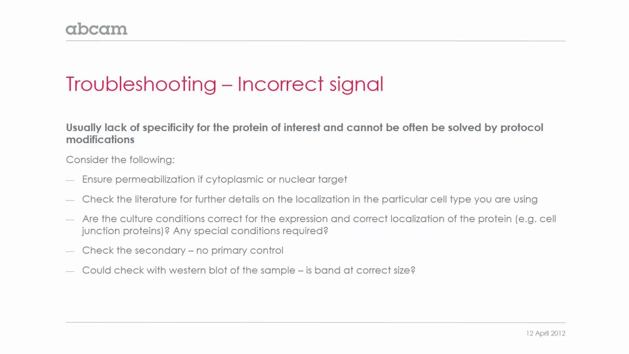 Fluorescent microscopy: Troubleshooting (Incorrect signal) - YouTube