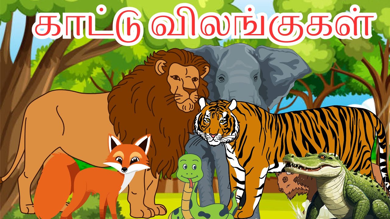 Kattu vilangugal🦁|காட்டு விலங்குகள்|Wild Animals Name In Tamil|Learning ...
