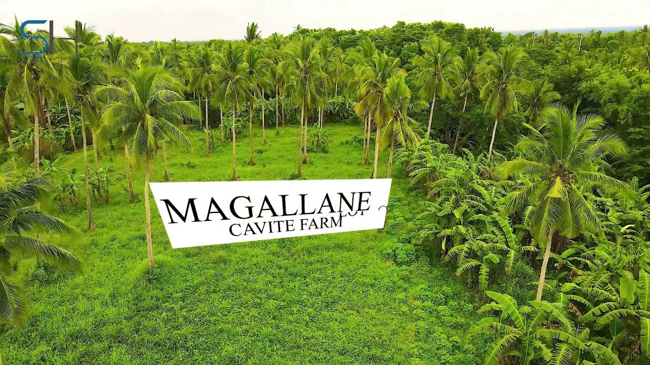 AFFORDABLE FARM LOT FOR SALE IN RAMIREZ MAGALLANES CAVITE, P2,800 per ...