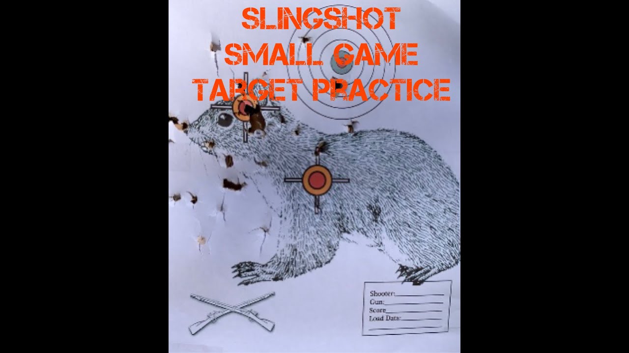 Slingshot Small Game Target Practice - YouTube