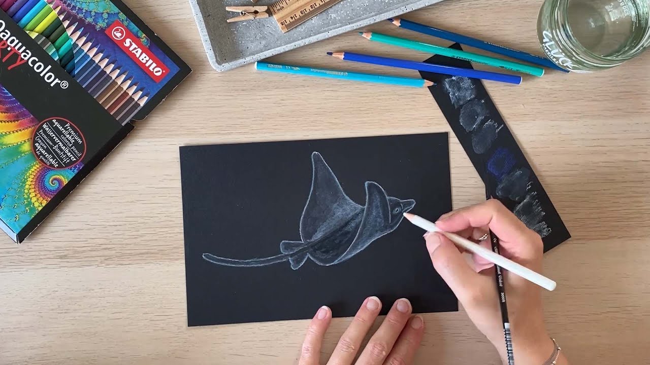 Aquarell-Zeichnung - Rochen - YouTube