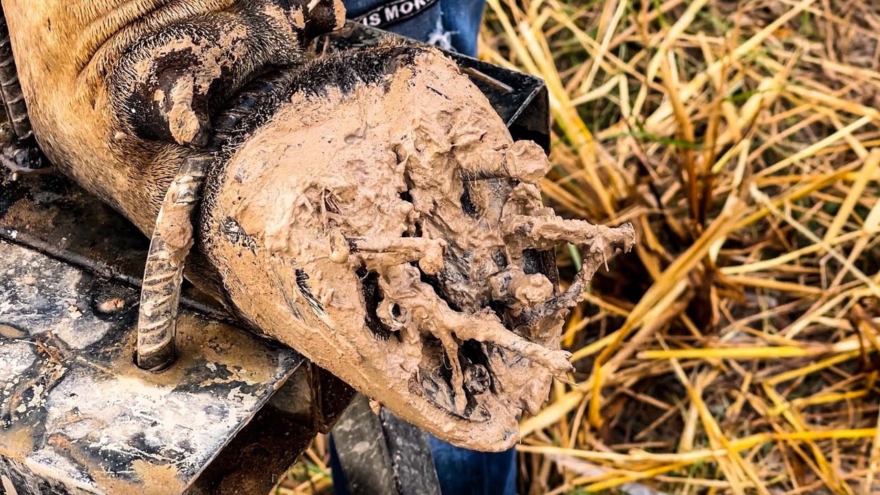 141!! Cleaning mud / Cut, trim and removing the screw with nail stuck ...