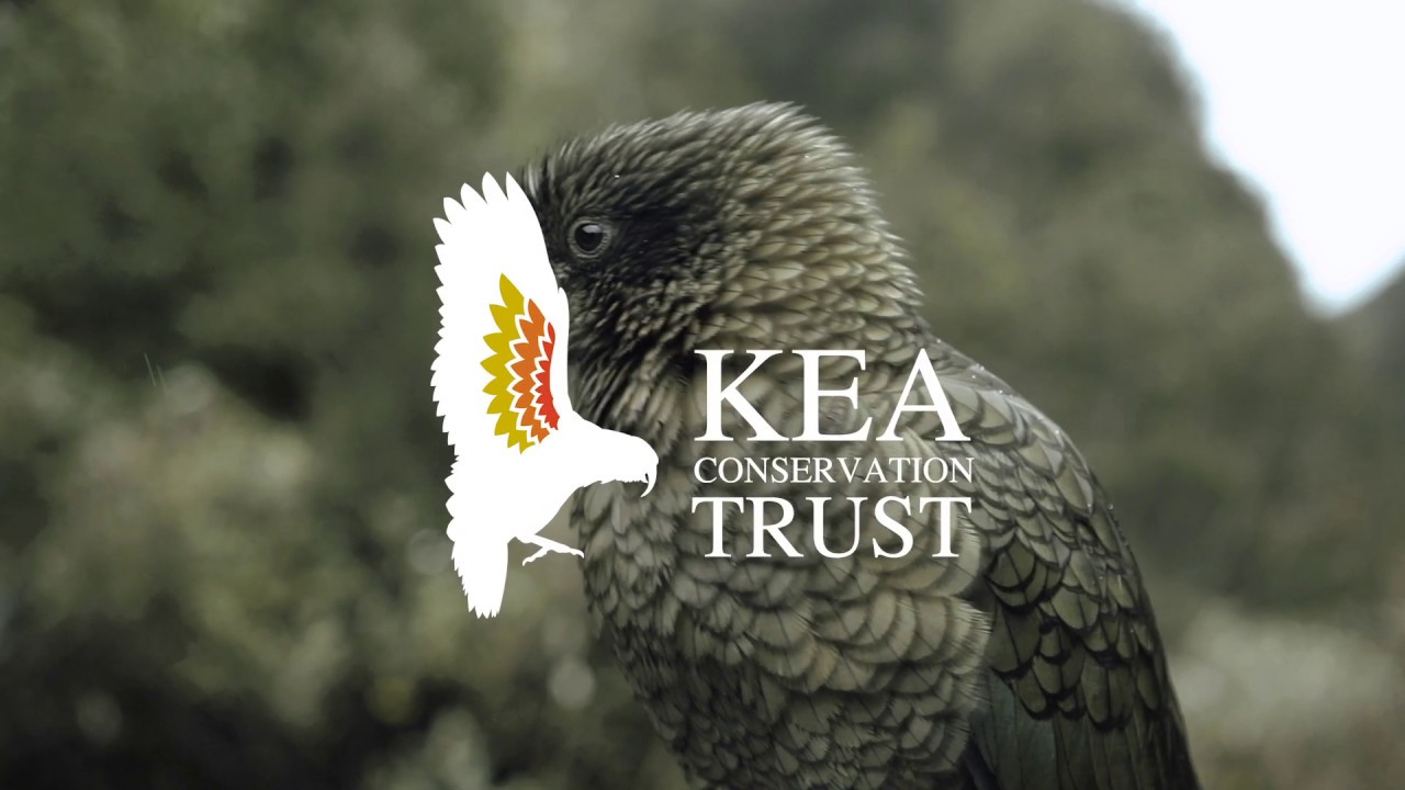 Women's Kea Jacket - YouTube