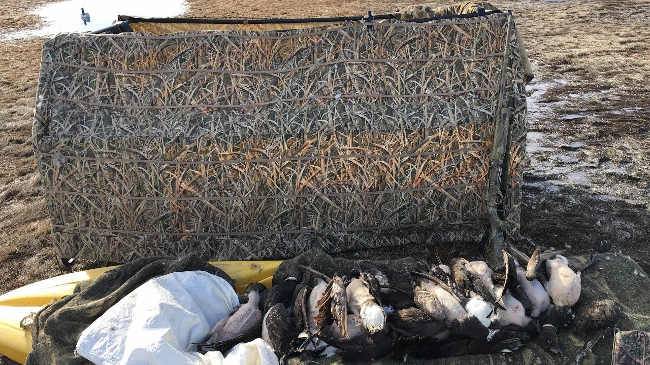 Spring Hunting 2017 - Brant Hunting - YouTube