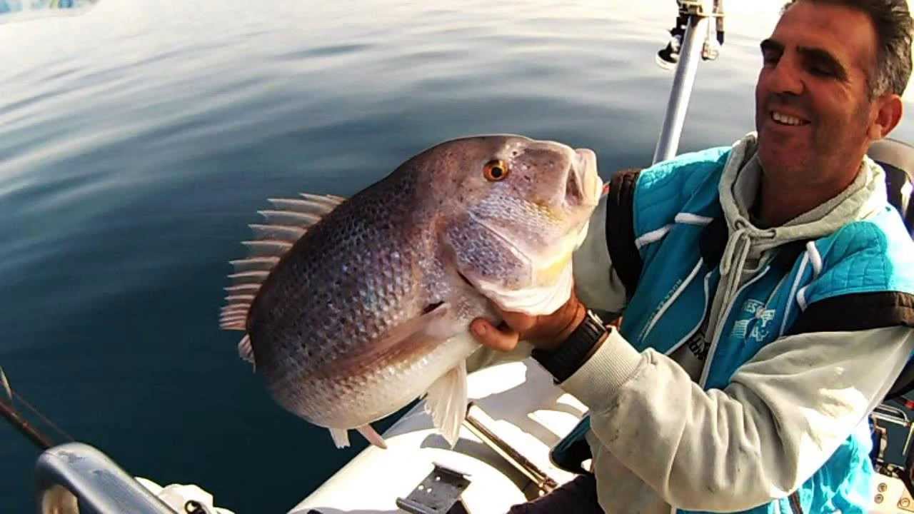 dentex-107 ΠΟΛΛΑ ΜΠΟΡΟΥΝ ΝΑ ΣΥΜΒΟΥΝ sotos fishing - YouTube