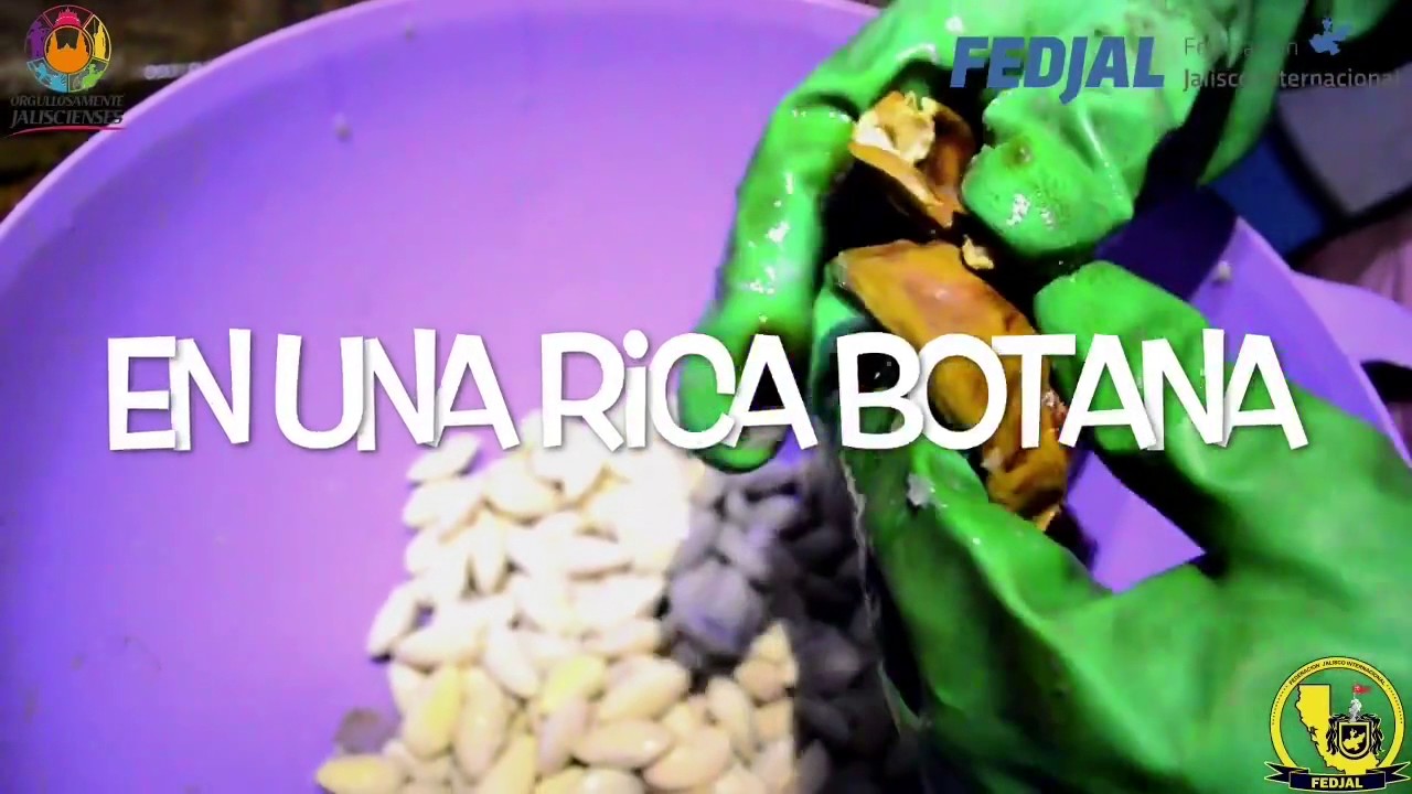 LAS PAROTAS....FRUTO DE TEMPORADA - YouTube