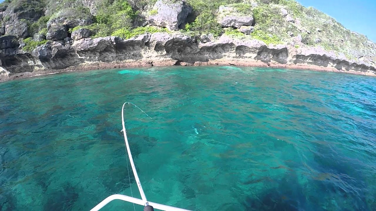 Green jobfish fishing in timor leste - YouTube
