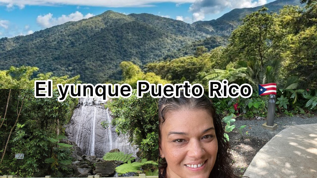 El yunque puerto Rico /primera parte - YouTube