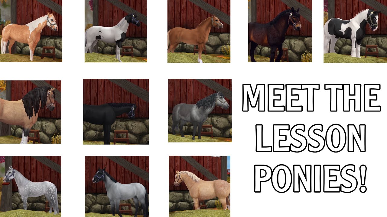 MEET THE LESSON PONIES! || introducing the golden leaf lesson ponies ...
