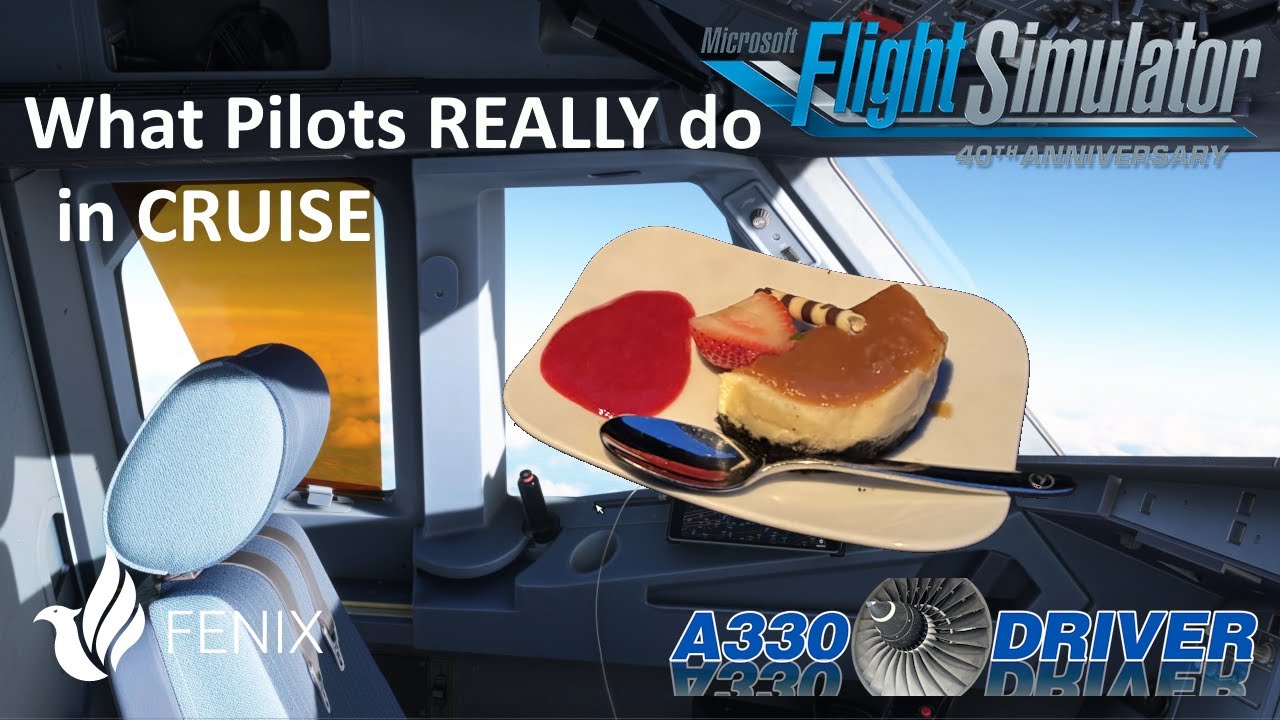 Let's talk for real: What do Pilots REALLY do during cruise? | Real ...