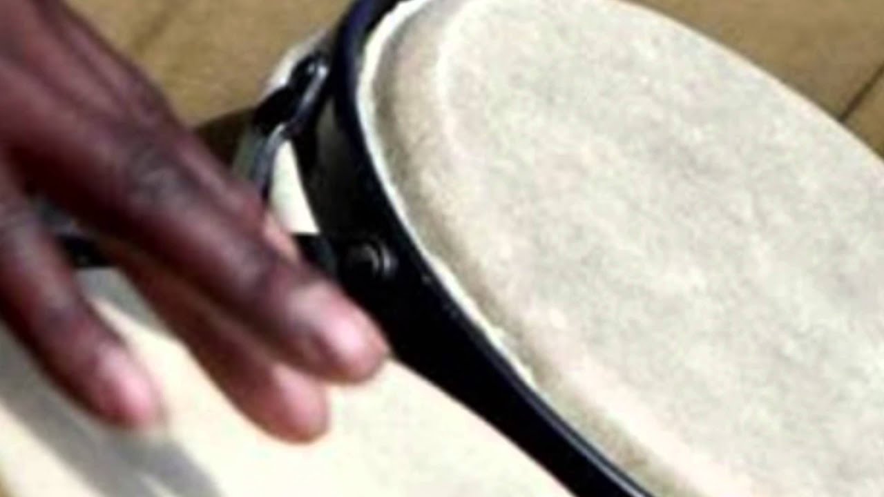 Bongo Solo Loop # 1 (Training with Palmieri) - YouTube