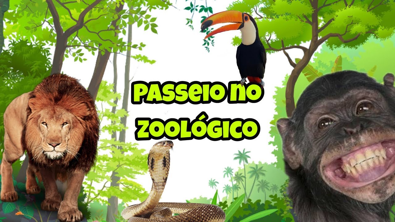 Passeio no zoológico incrível- walk in the incredible zoo - YouTube