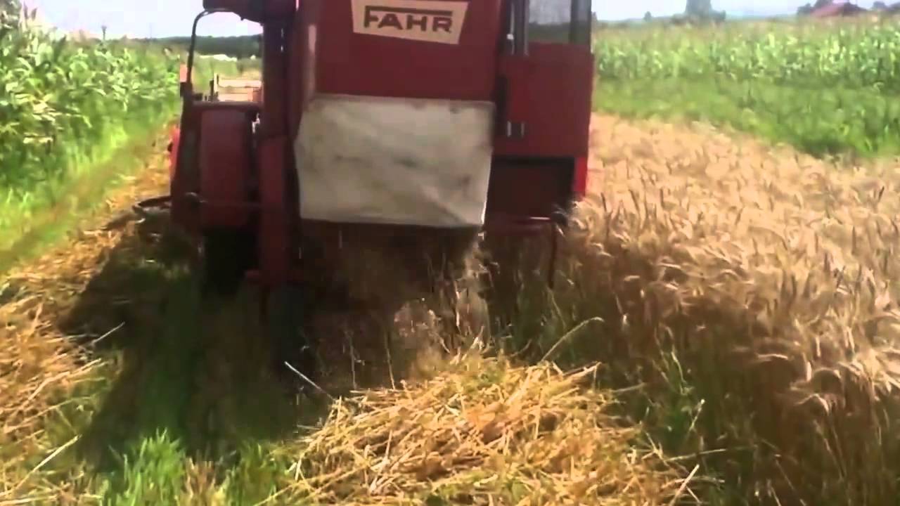 AgroVic FAHR M44 Wheat harvest 2013 - YouTube