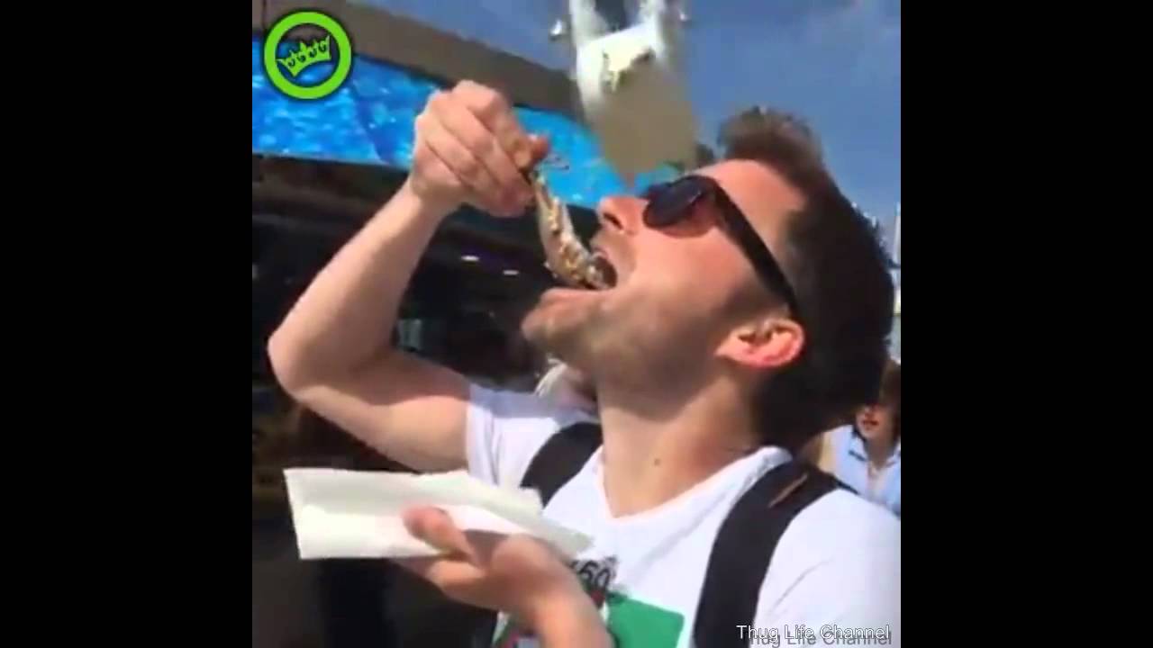 Thug life bird - YouTube