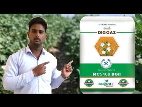 DIGGAZ , A TATA PRODUCT 2023 - YouTube