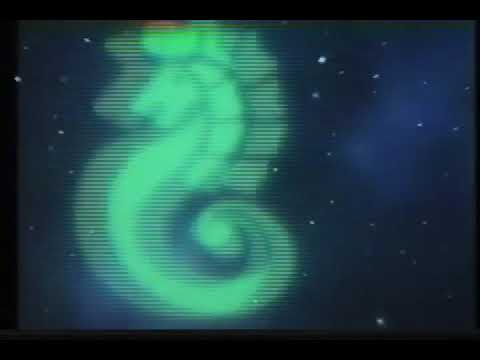 (REUPLOAD) VHS COMPANIES FROM 80S #587: OCEAN SHORES