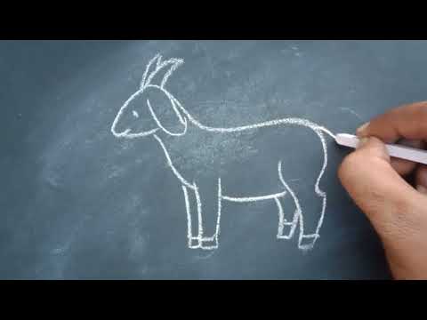 How to draw a Goat🐐//ஆடு படம் வரைதல் - YouTube