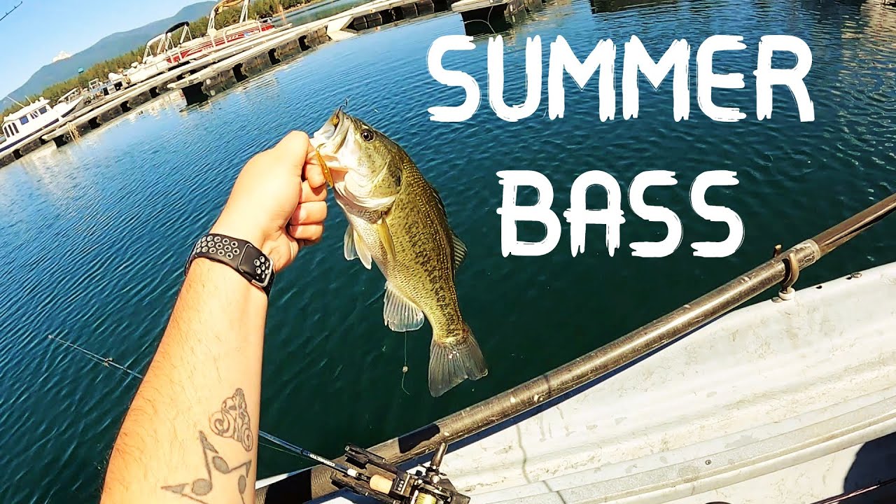 Summer Bassing With My Son - YouTube