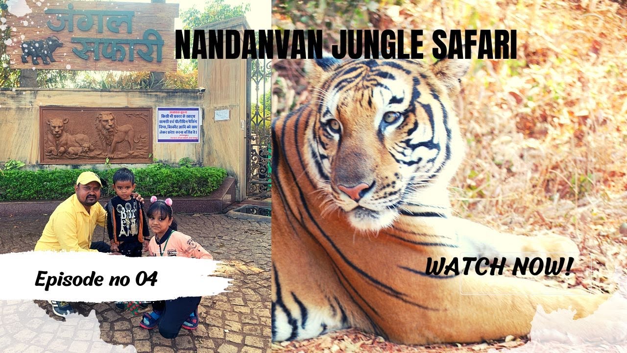 Jungle Safari Naya Raipur II Zoo II Raipur Chhattisgarh - YouTube