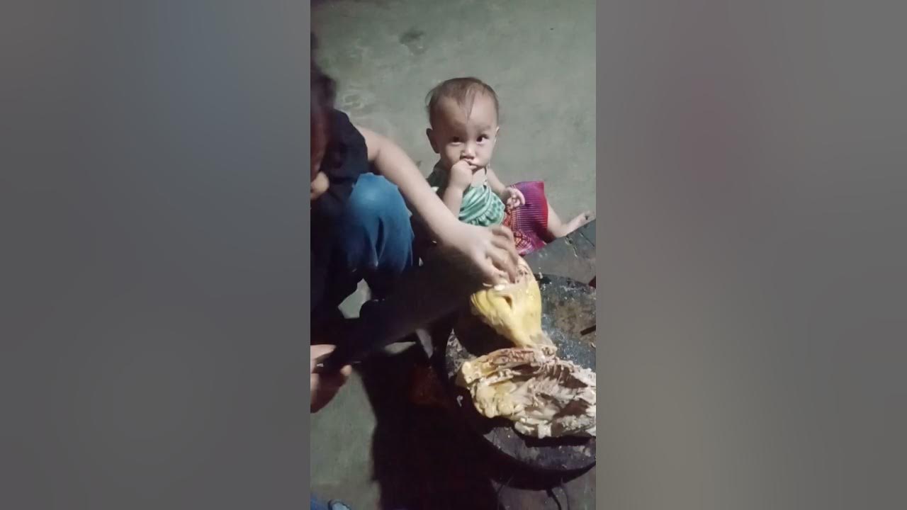 nej saib nawb thawj zaug kuv tus niam tsev tsuav qaib rau peb noj os.hahaha - YouTube