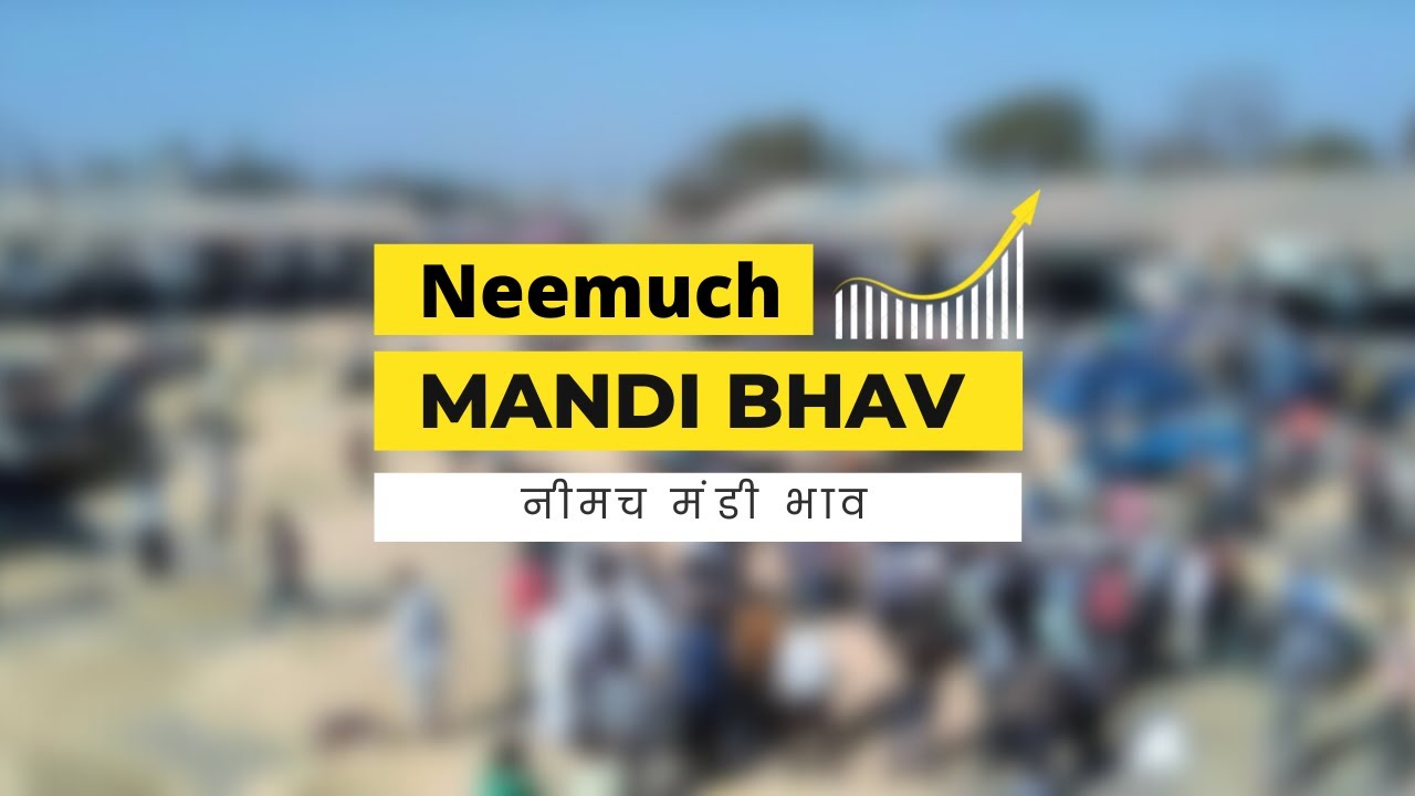 25 July 2022: Neemuch Mandi Bhav - YouTube