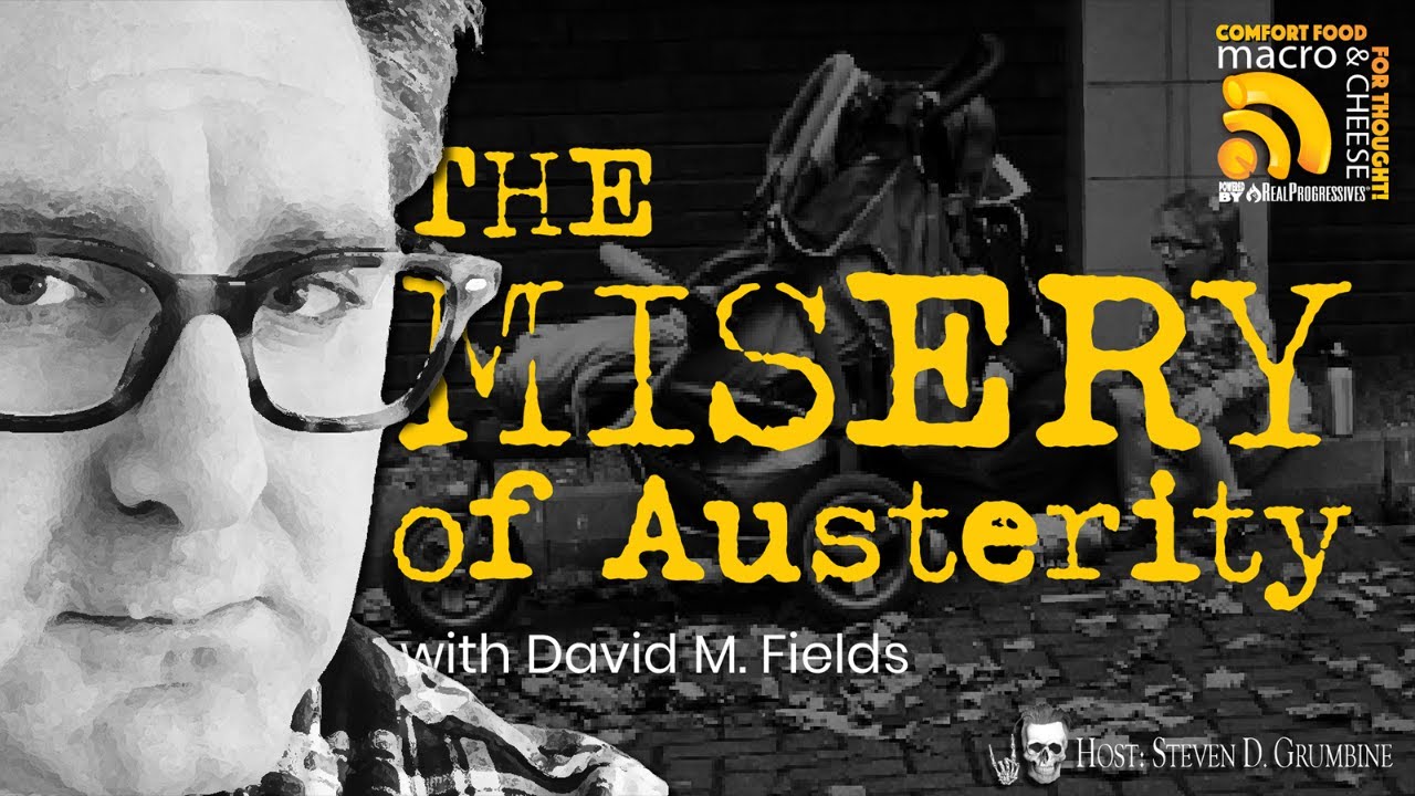 The Misery of Austerity with David Fields - YouTube