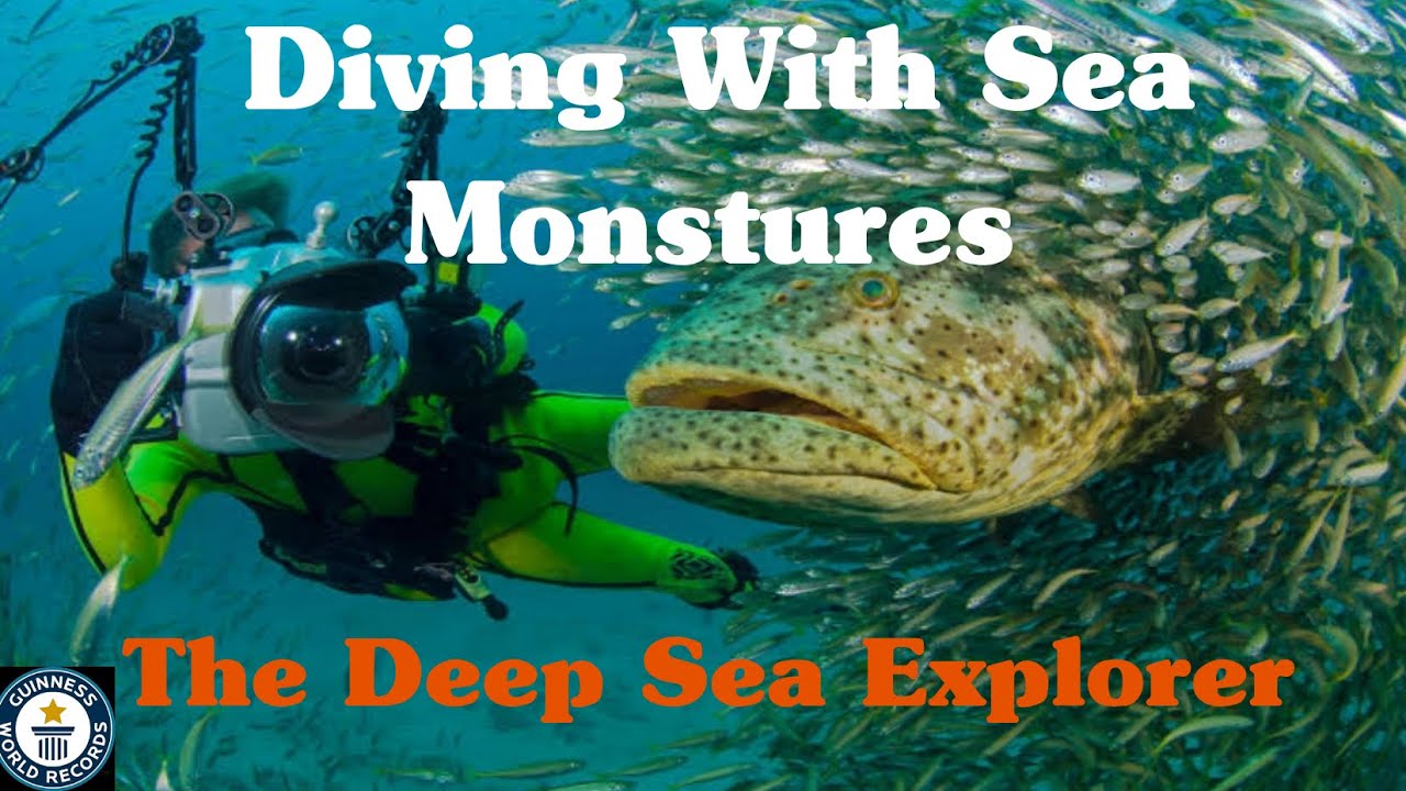 Experience the underwater world through the eyes of divers | Deep sea ...