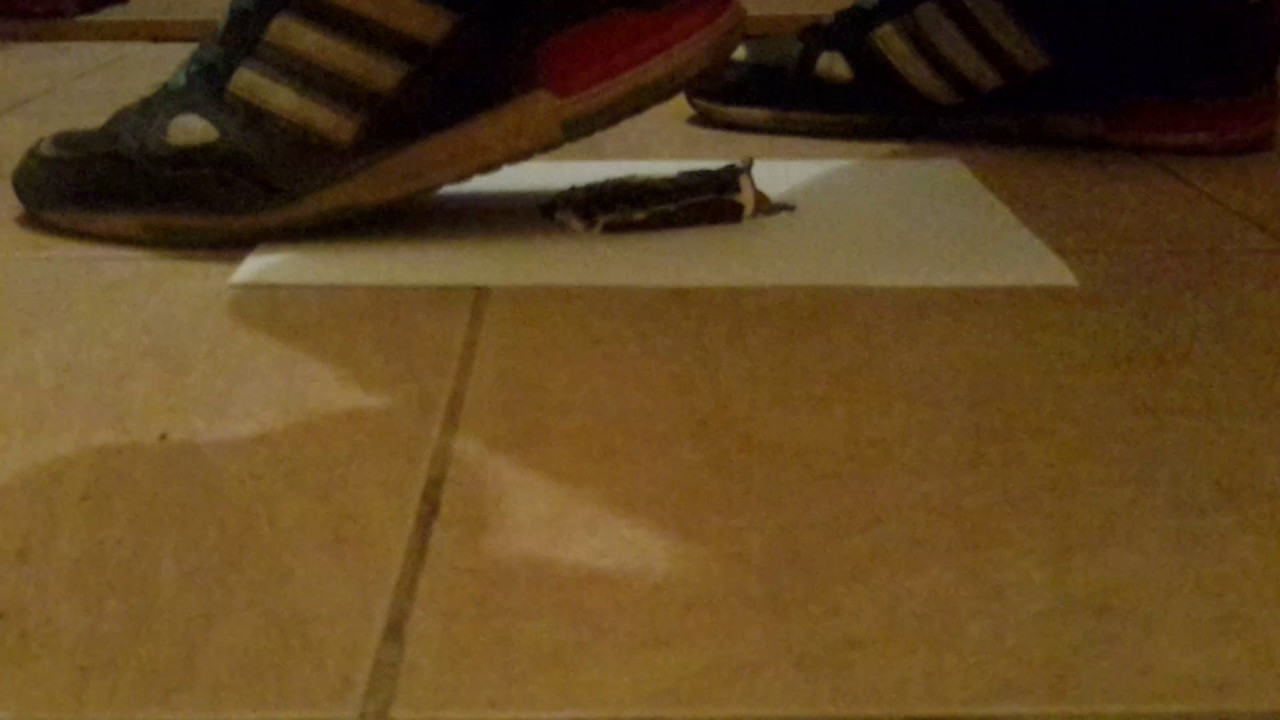 Stomp cake in old Adidas ZX750 - YouTube