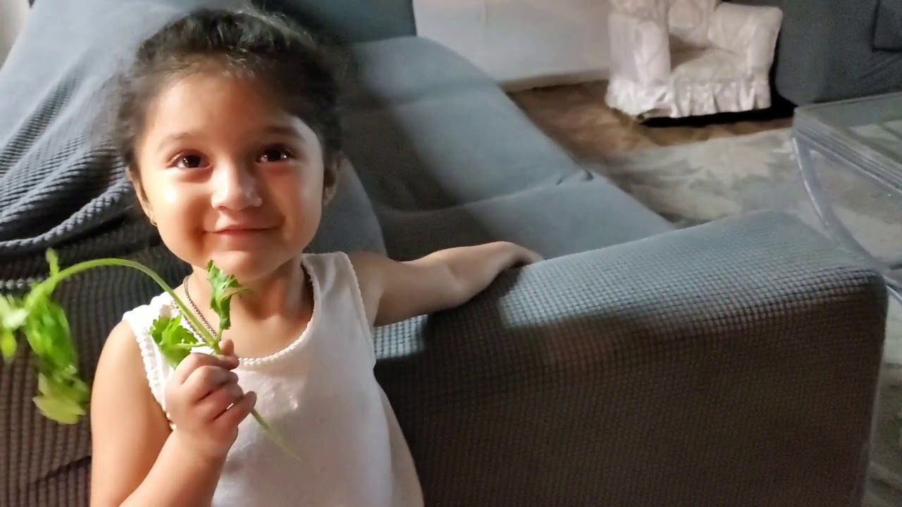 Eating Cilantro - YouTube