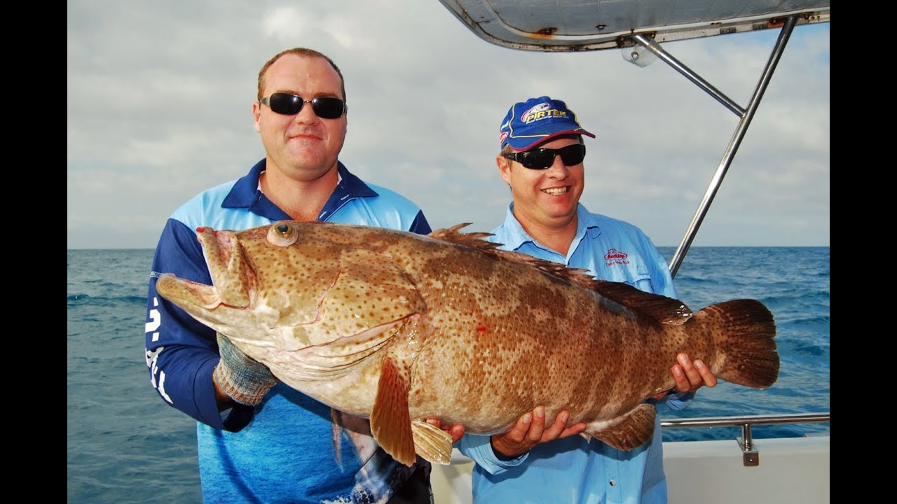 funny fishing - Big fish smashed Rod!! - YouTube