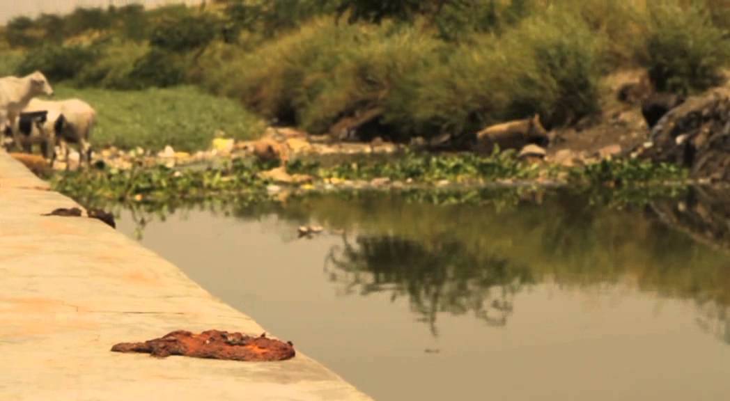 Tackling Open Defecation - YouTube
