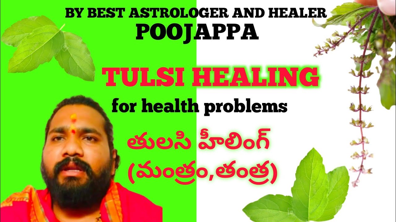 TULSI HEALING|తులసి హీలింగ్|for health problems {by healer poojappa ...