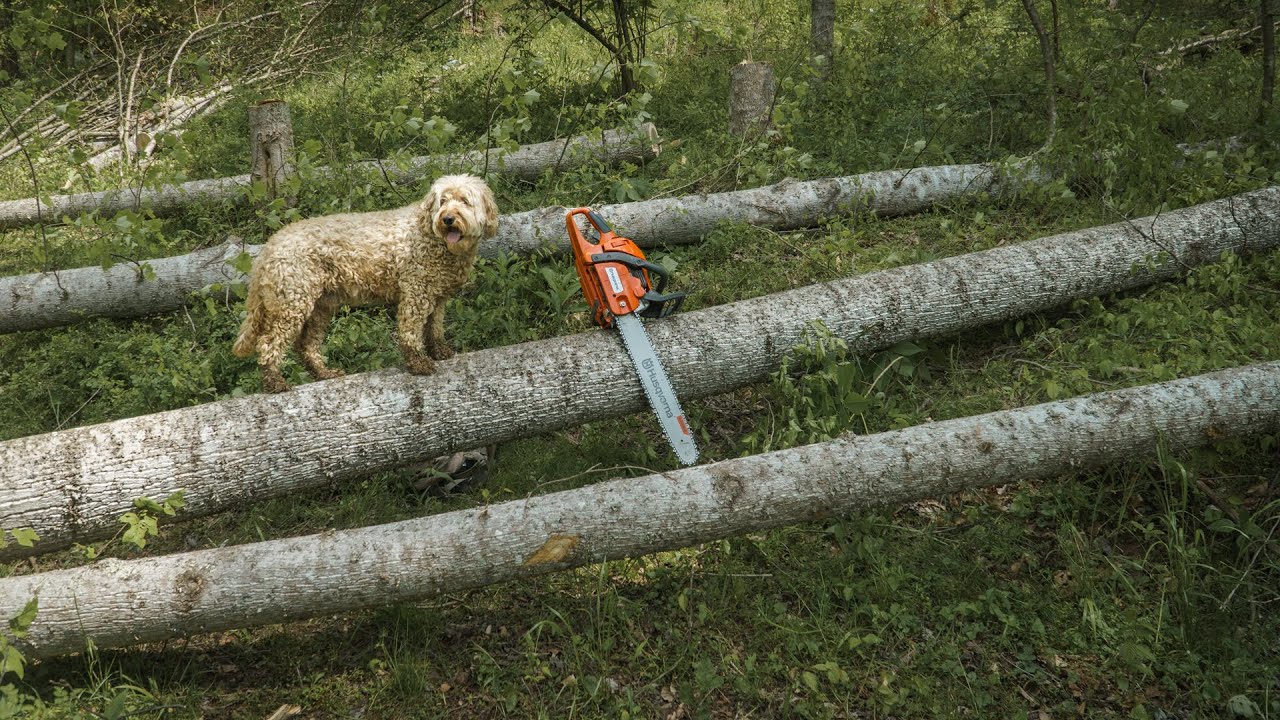 Building an Off-Grid Log Cabin | Scribing & Notching Logs - YouTube